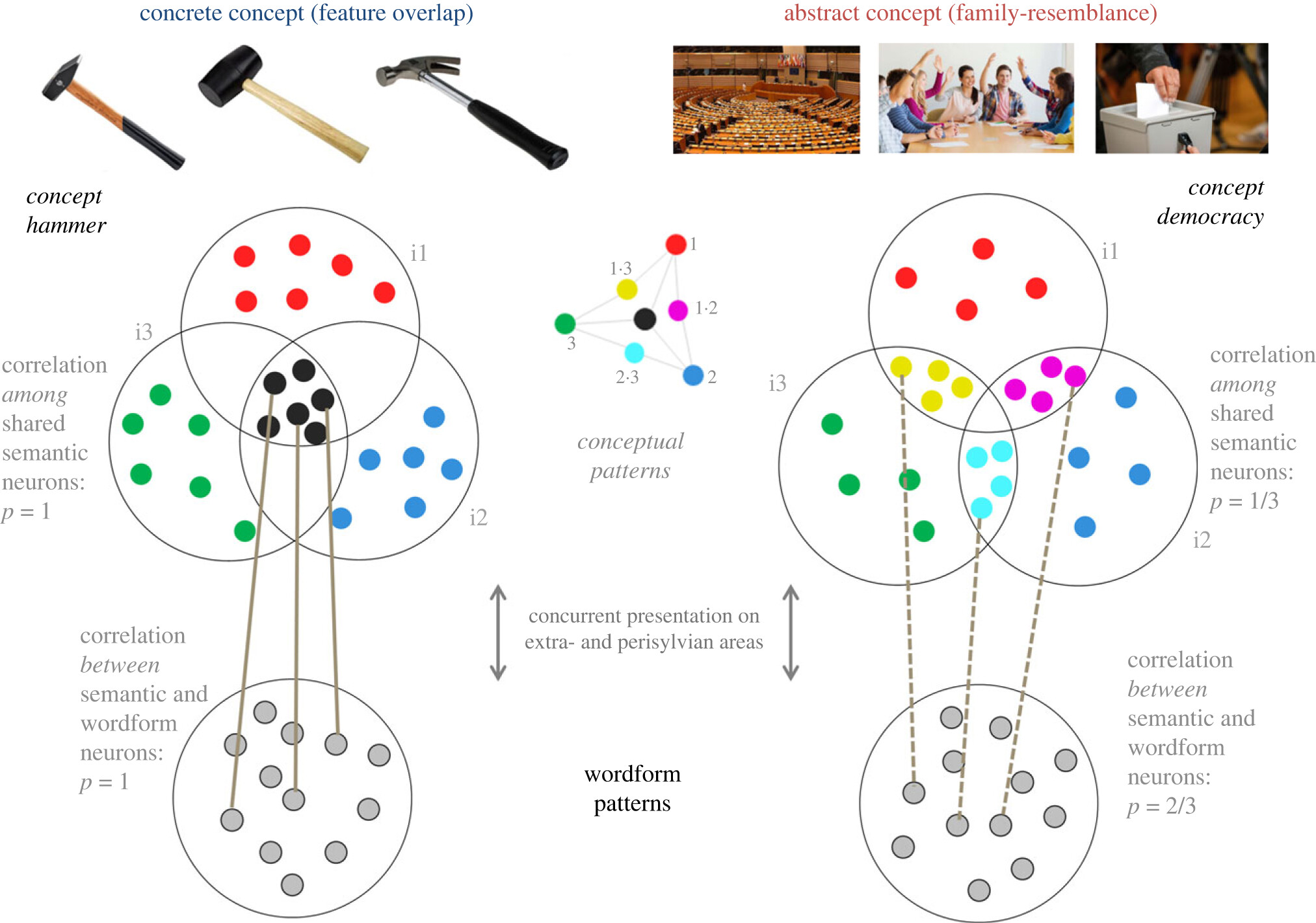 Language influences perception and concept formation – Surtil