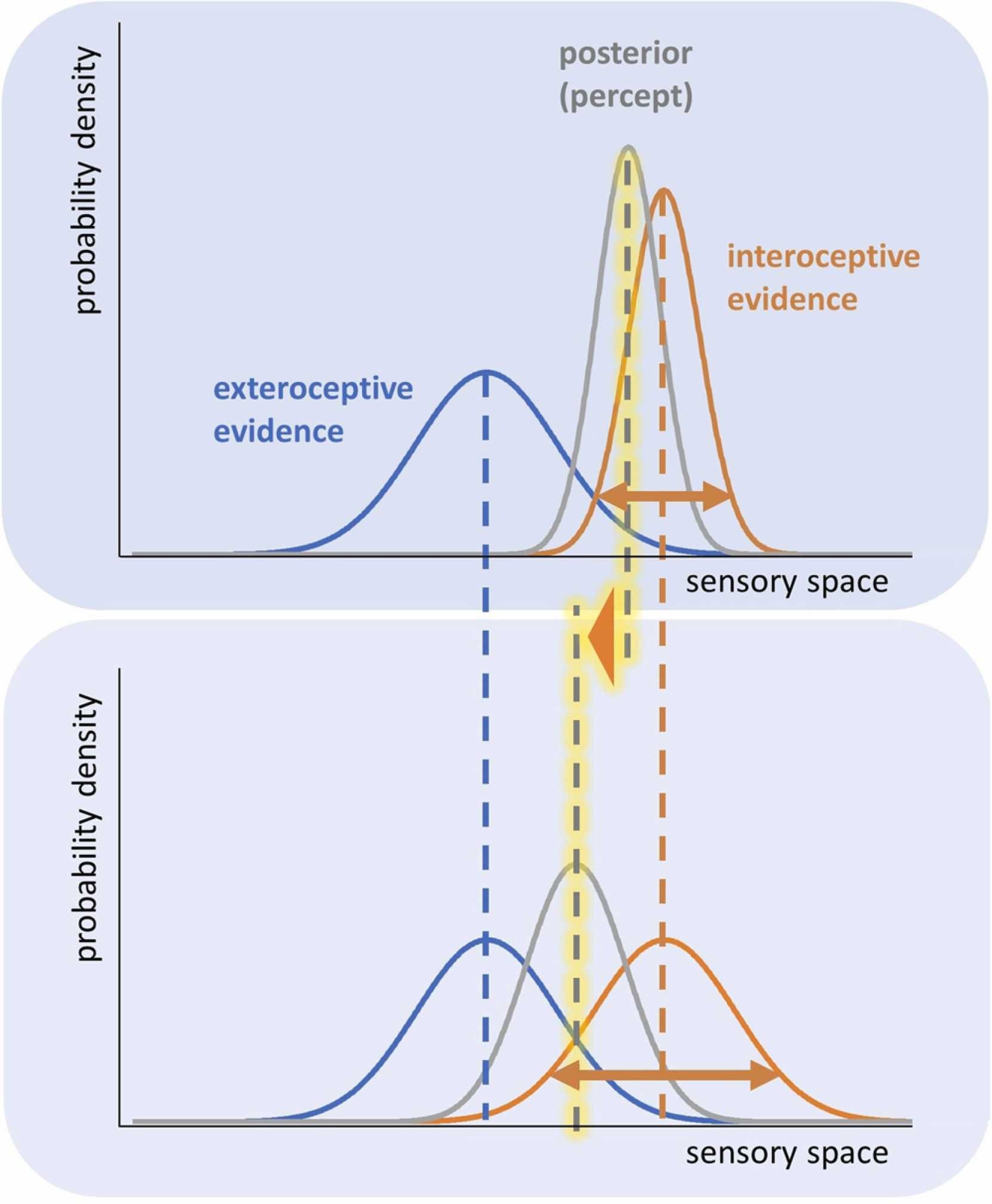Cardiac activity: its role in perception and action – Surtil