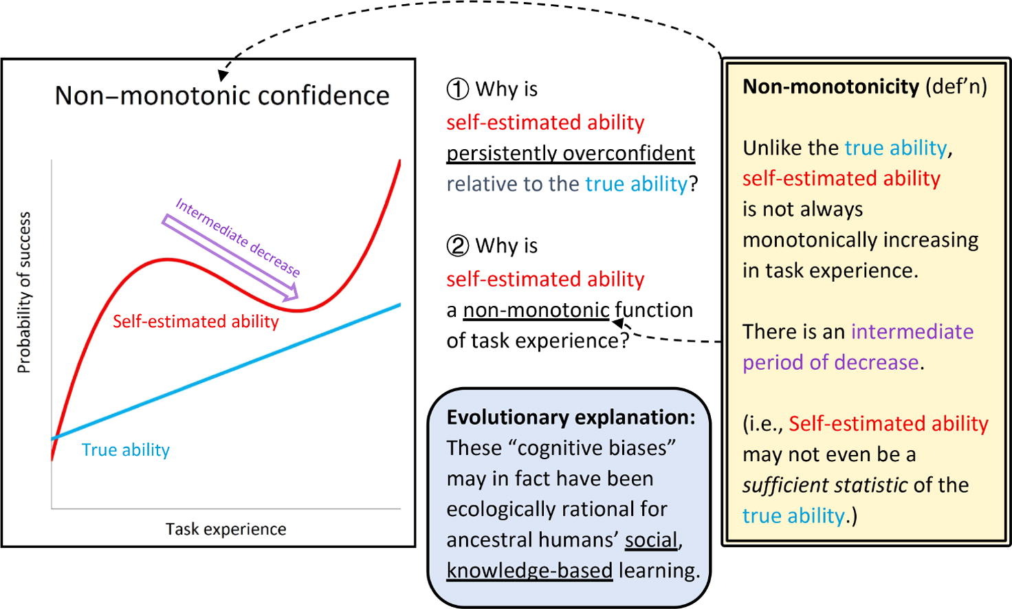 Evolution of cognitive biases – Surtil