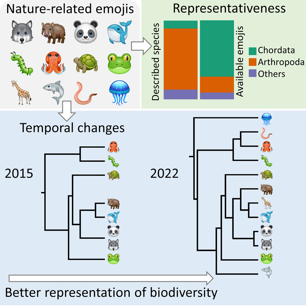 There is hope (emoji) &(biodiversity) – Surtil