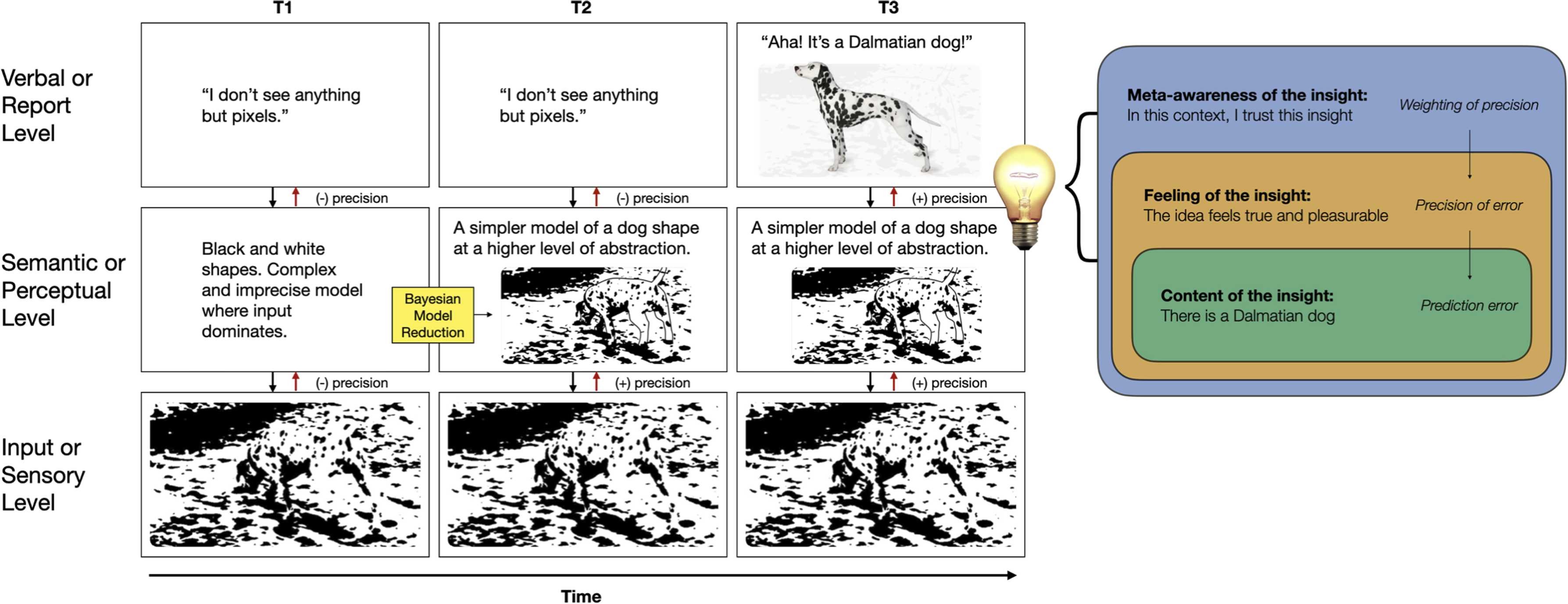 Insight –> selection of ideas – Surtil