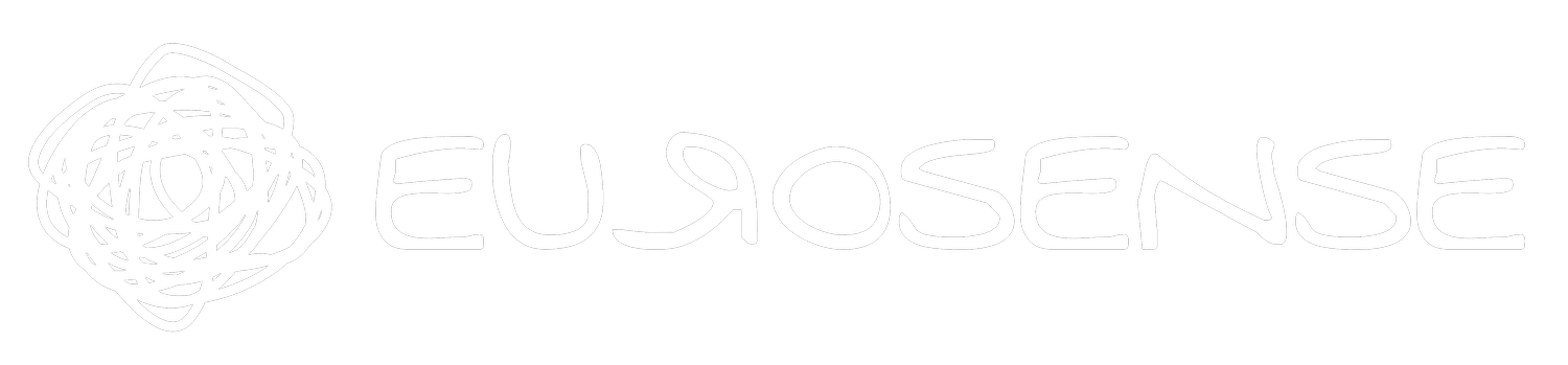 Sensemaking – Eurosense – Surtil