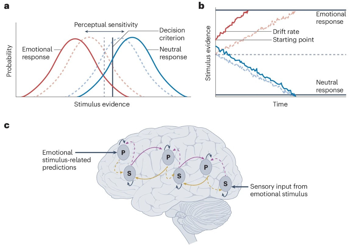 Top-down influences – Surtil
