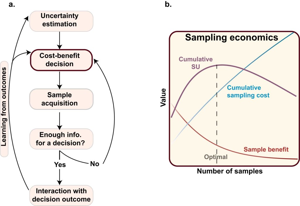 Active information sampling in health and disease – Surtil