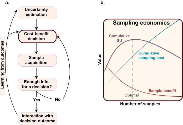 Active information sampling in health and disease – Surtil