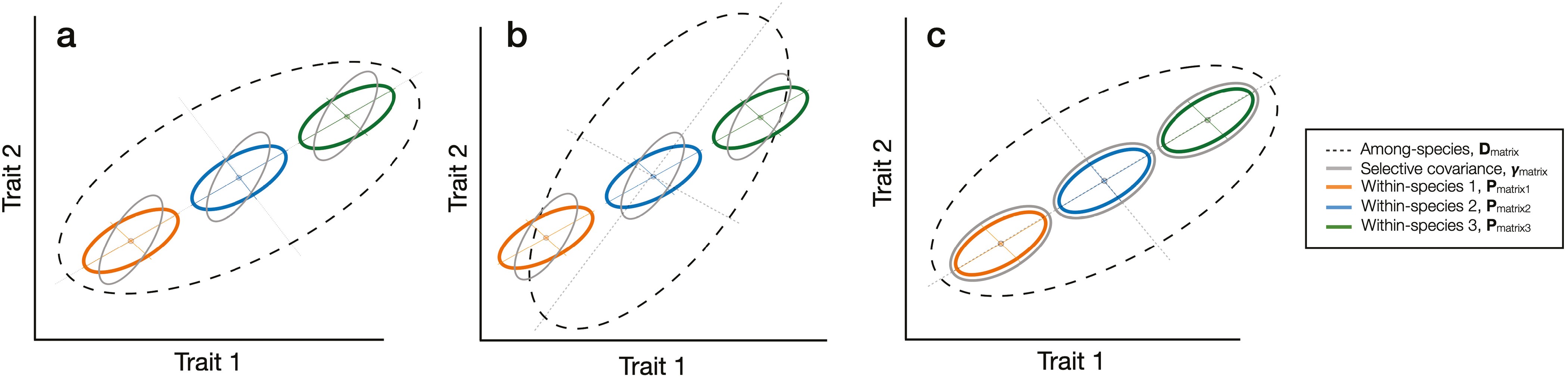 Paradox of Predictability – Surtil